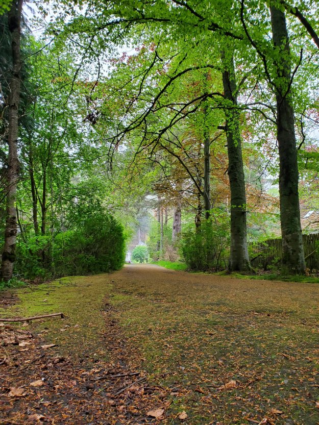 I change, He changes not.. | aforgetfulsoul